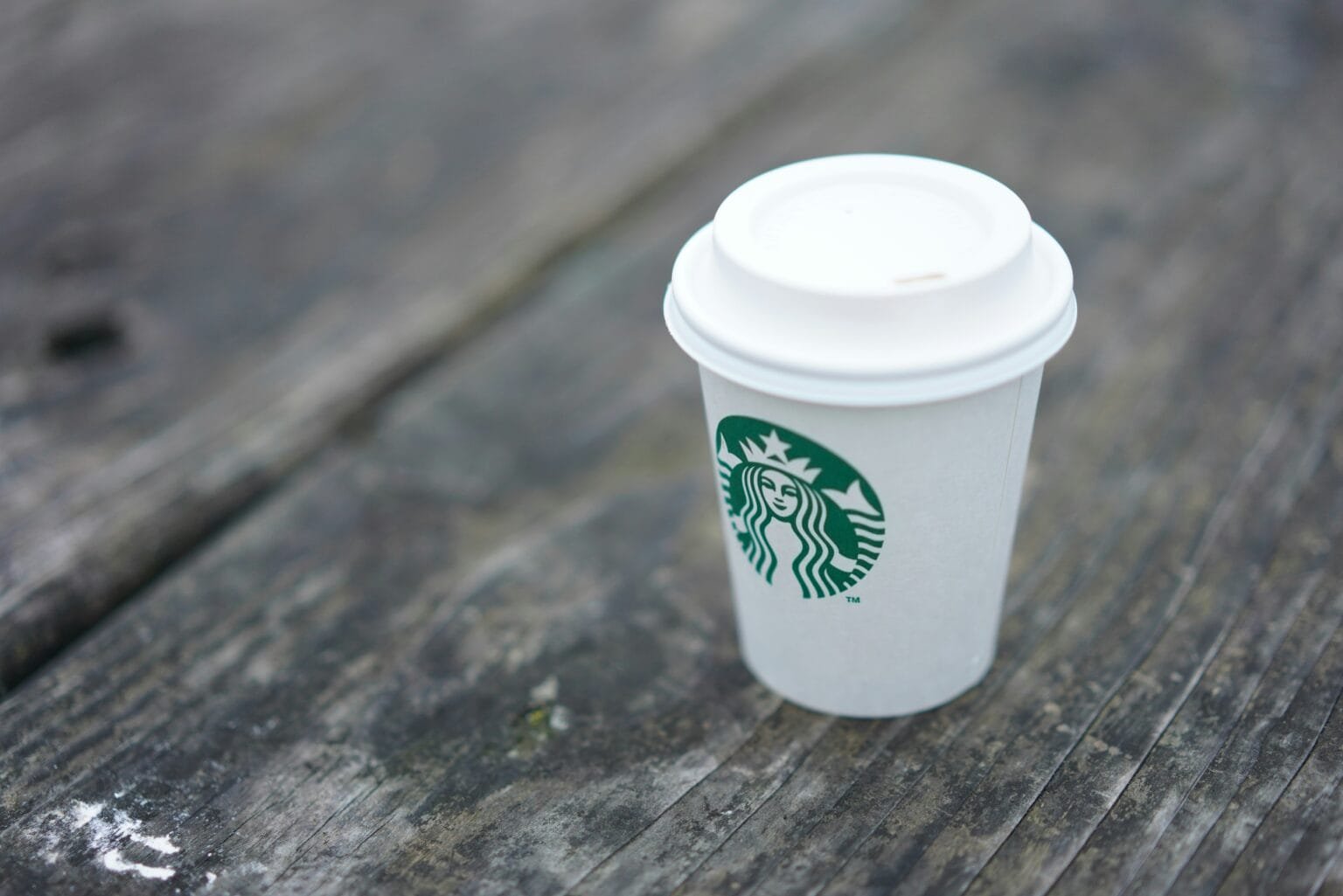 The Best Coffee Shops To Visit In Seattle’s Capitol Hill - Seek Seattle