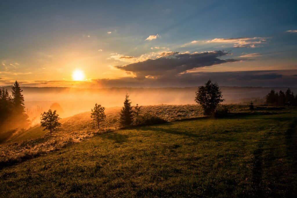 What Is Special About Golden Gardens Park? - Seek Seattle